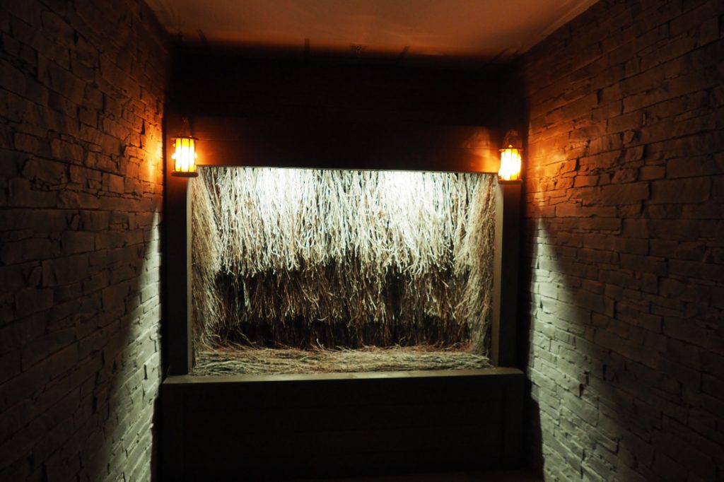 Bouddha Spa – Un spa urbain à Belfort – A la conquête de l'Est